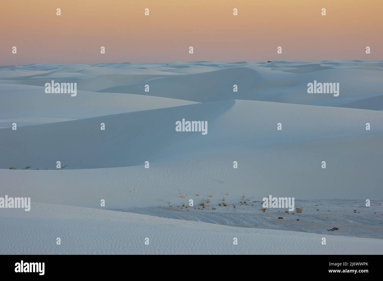 Dunes in White Sands National Park at blue hour Stock Photo - Alamy