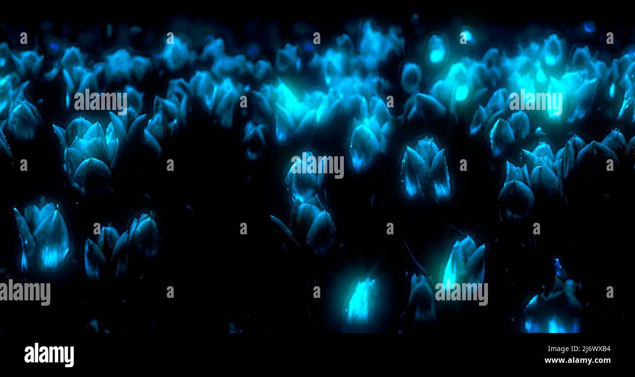 Psychedelic Render Hi Res Stock Photography And Images Alamy