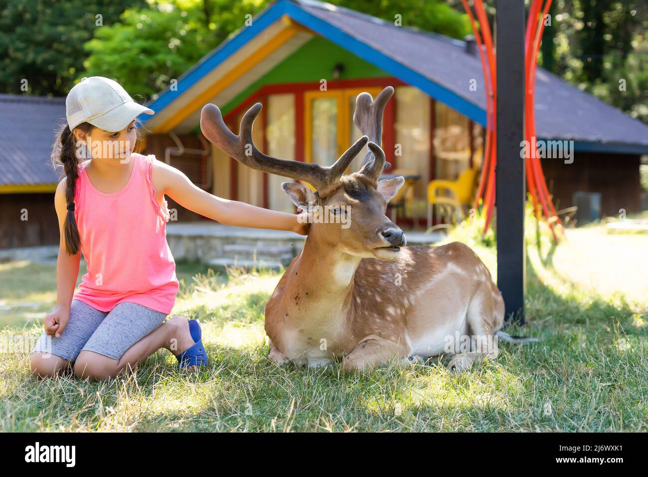 adorable toddler feeds deer on farm. Beautiful baby child petting ...