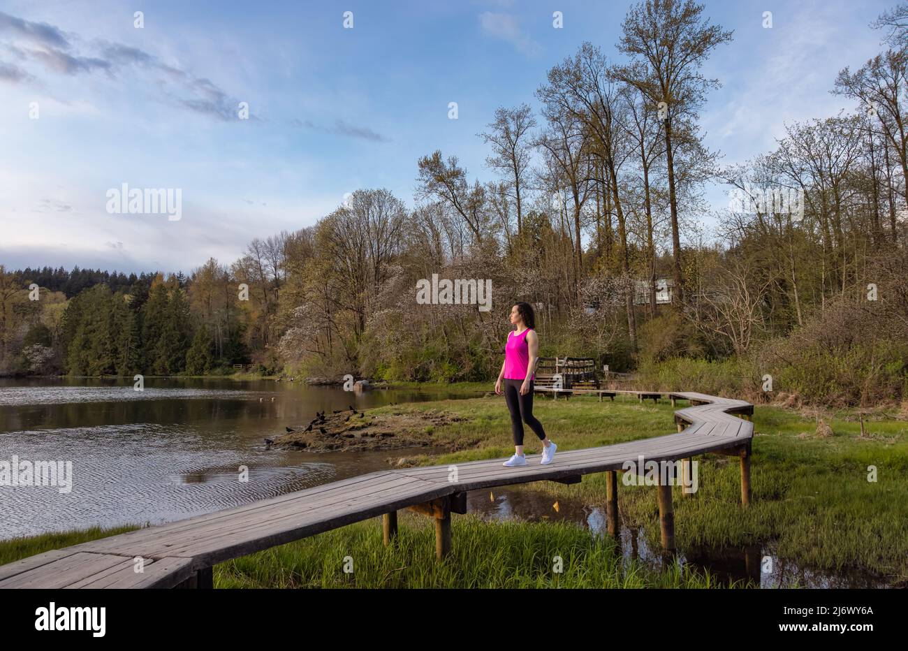 Woman Walking on a Wooden Path with green trees in Shoreline Trail ...