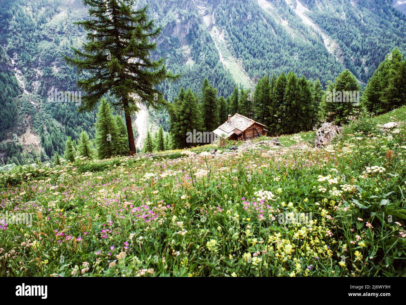 Swiss chalet, cabin in the Swiss Alps Switzerland Stock Photo - Alamy