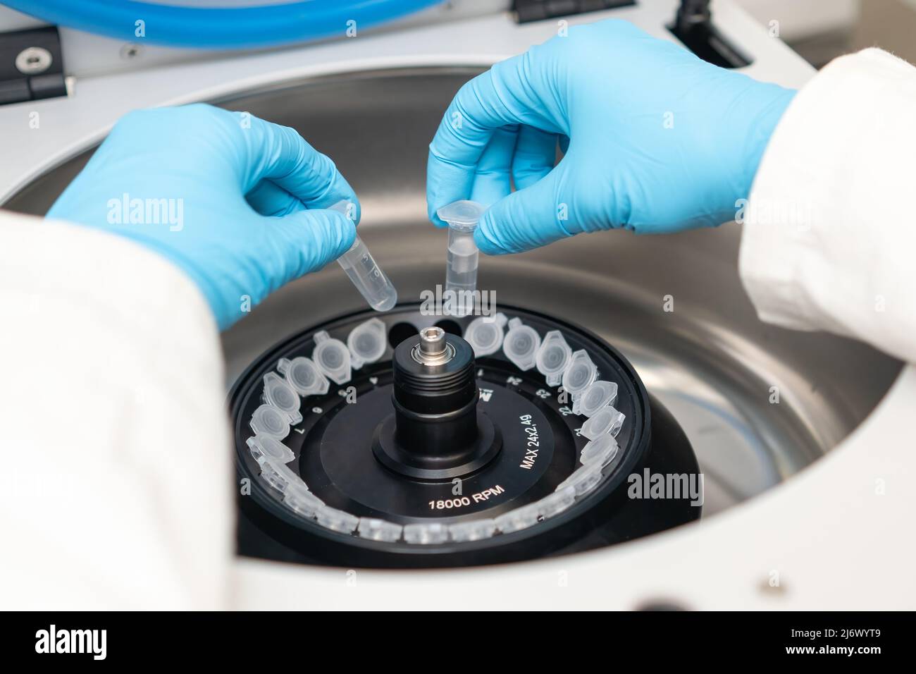 Laboratory worker puts chemical tubes into the centrifuge. Biochemistry ...