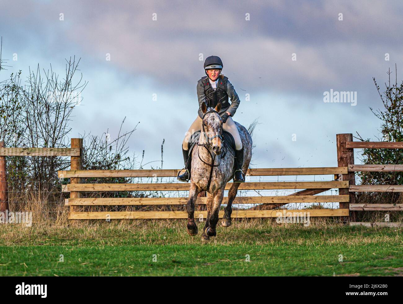 Silhouette horse rider galloping on hi-res stock photography and images ...