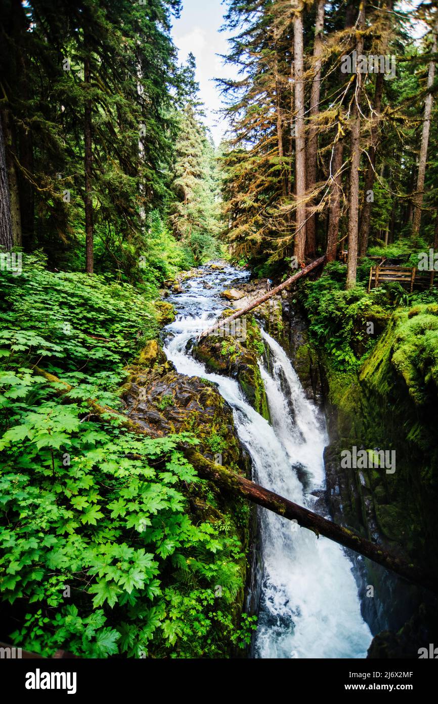 Waterfall in Olympic National park, Washington, United States Stock ...