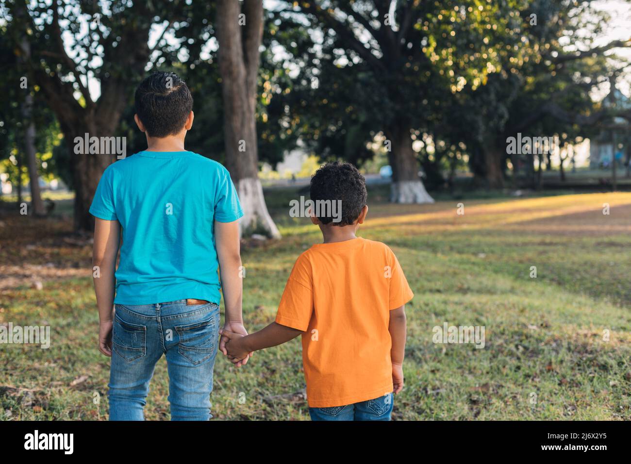 two children holding hands in the forest, brothers together Stock Photo ...