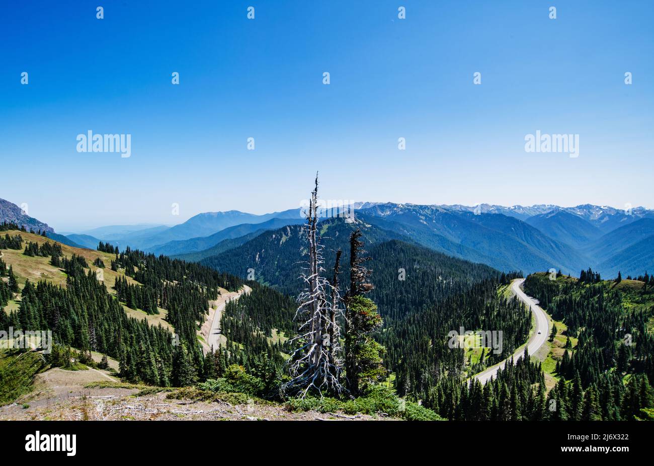 landscape in the mountains of Olympic National Park, Washington Stock ...