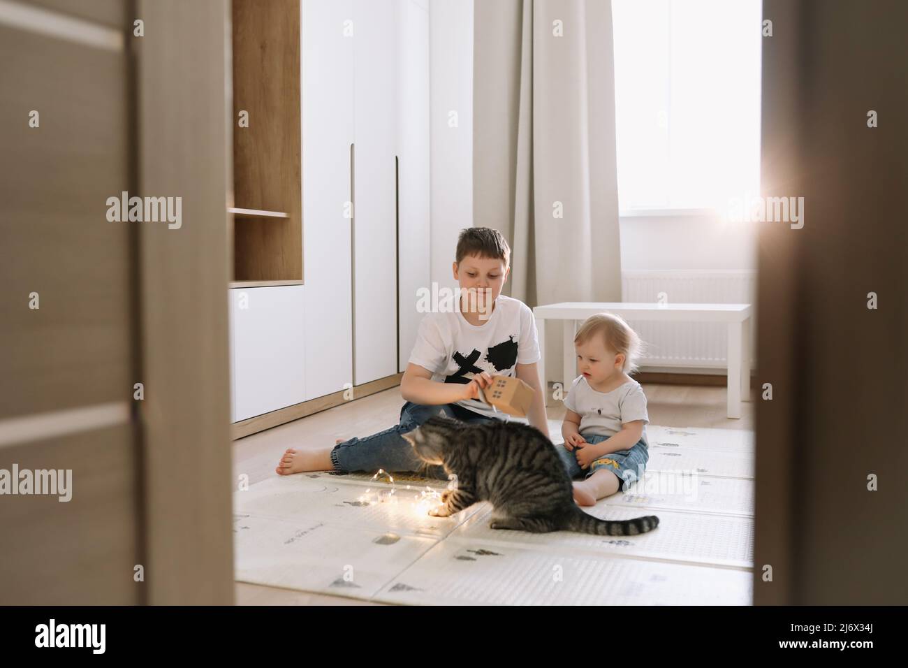 Kids playing with a cat in a sunny nursery at home. Siblings having fun ...