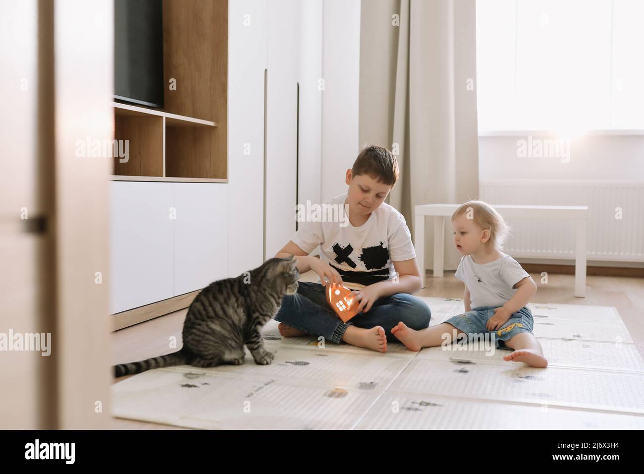 Kids playing with a cat in a sunny nursery at home. Siblings having fun ...
