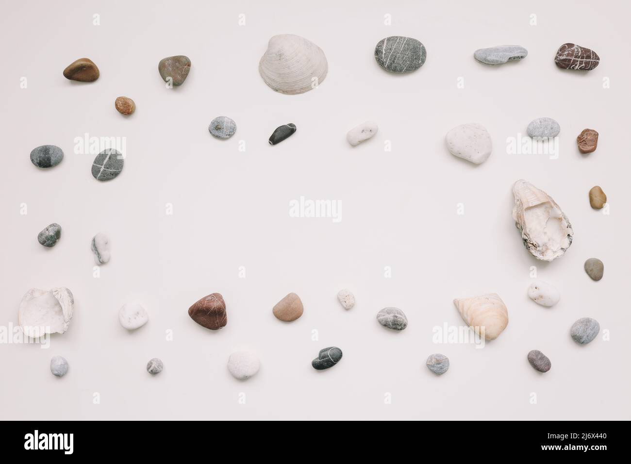 Sea shells pattern on white background. Summer concept. Flat lay, top ...