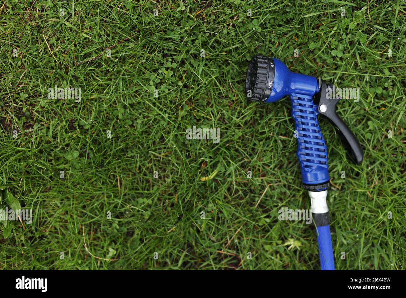 Blue gun spray water on the hose for watering the lawn. Blue spray gun ...