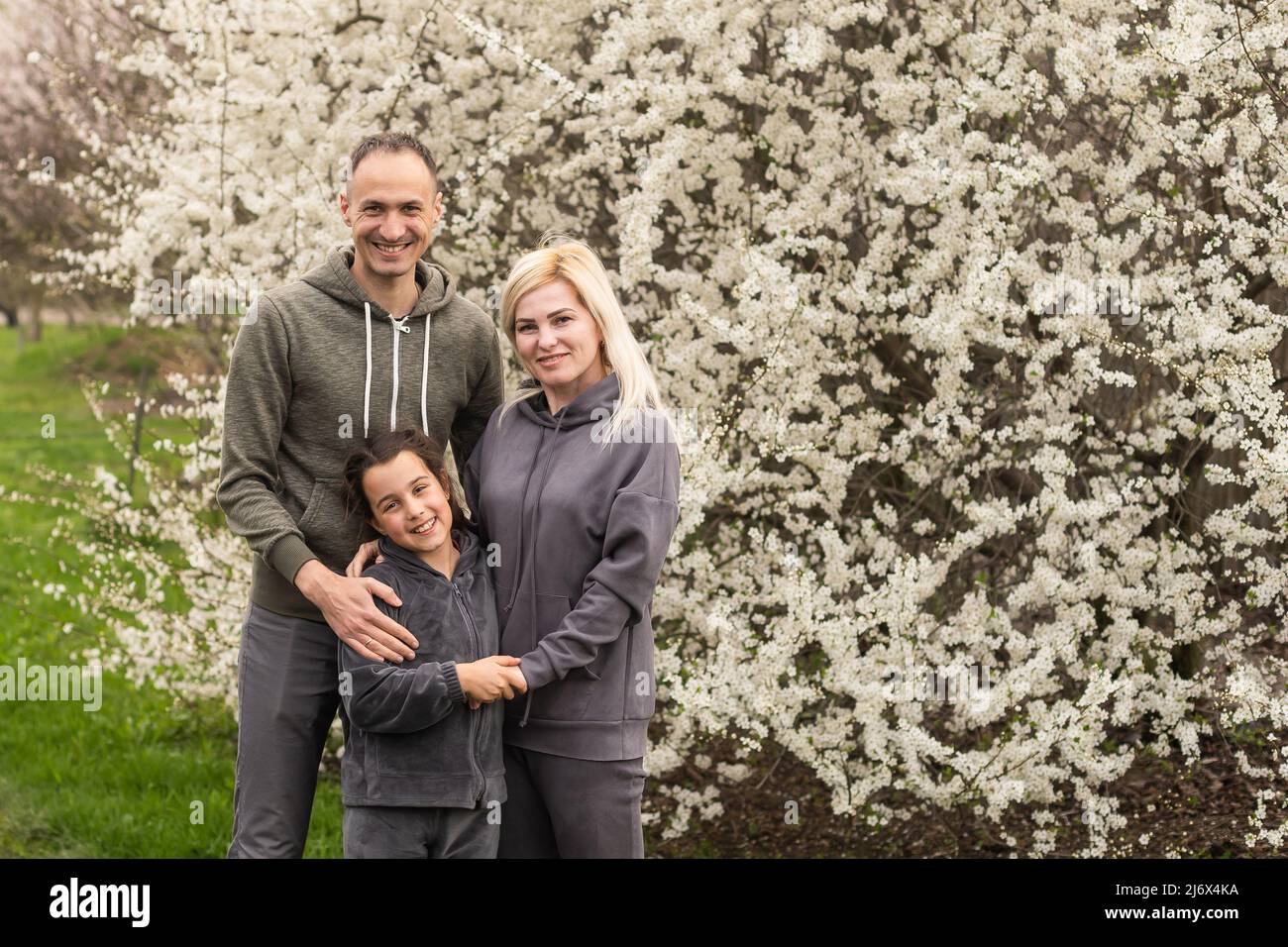 family having fun with flowering tree in blooming spring garden Stock ...