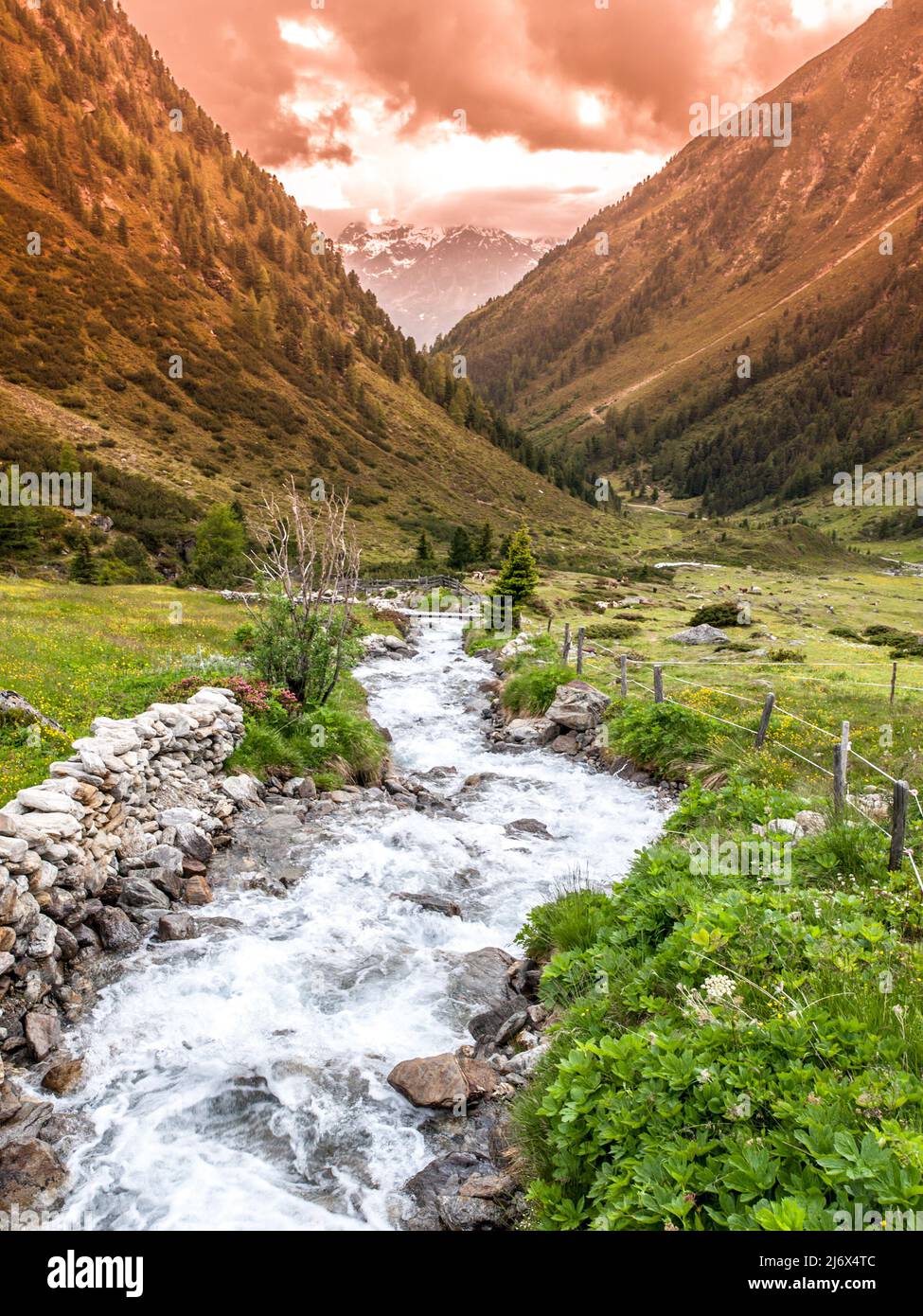 Morning mist in alpine valley hi-res stock photography and images - Alamy
