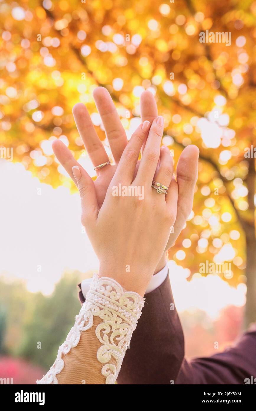 hands of wedding couple in love. Relationship, love and tenderness ...