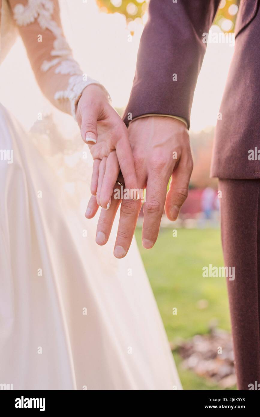 hands of wedding couple in love. Relationship, love and tenderness ...