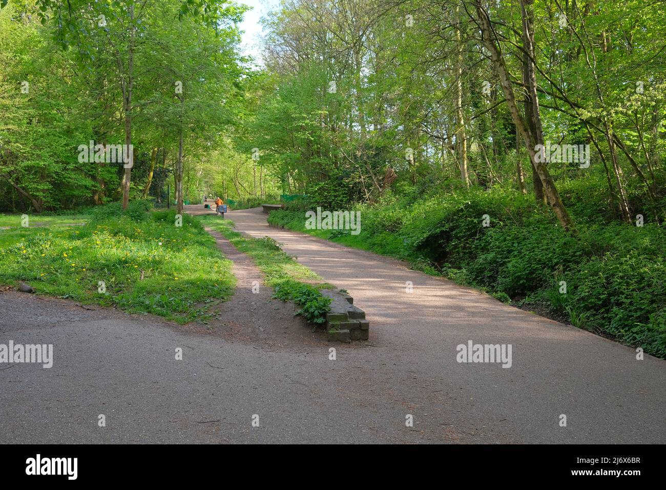 monton and roe green loop line cycle way and public walk way past old ...