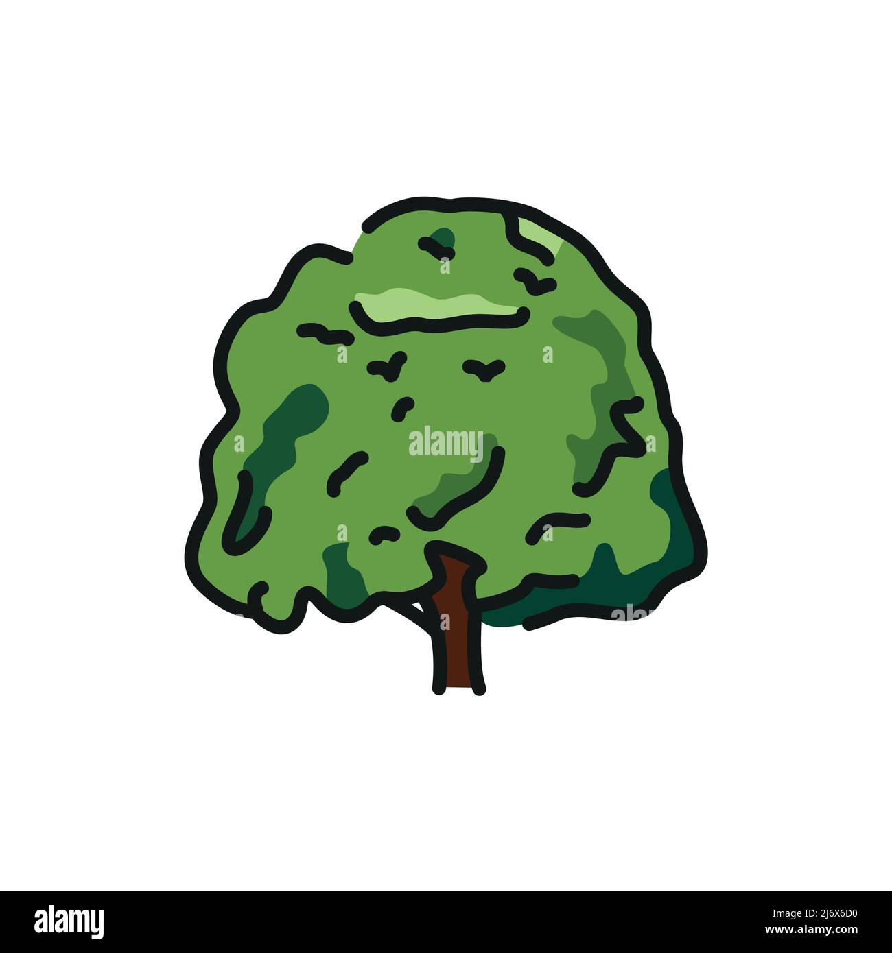 Beech tree line drawing hi-res stock photography and images - Alamy