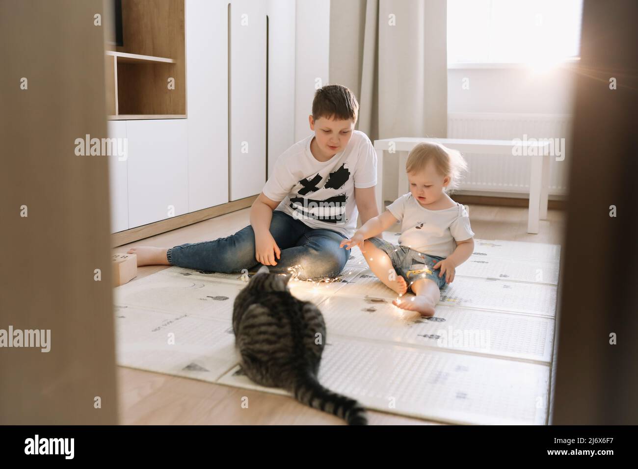 Kids playing with a cat in a sunny nursery at home. Siblings having fun ...