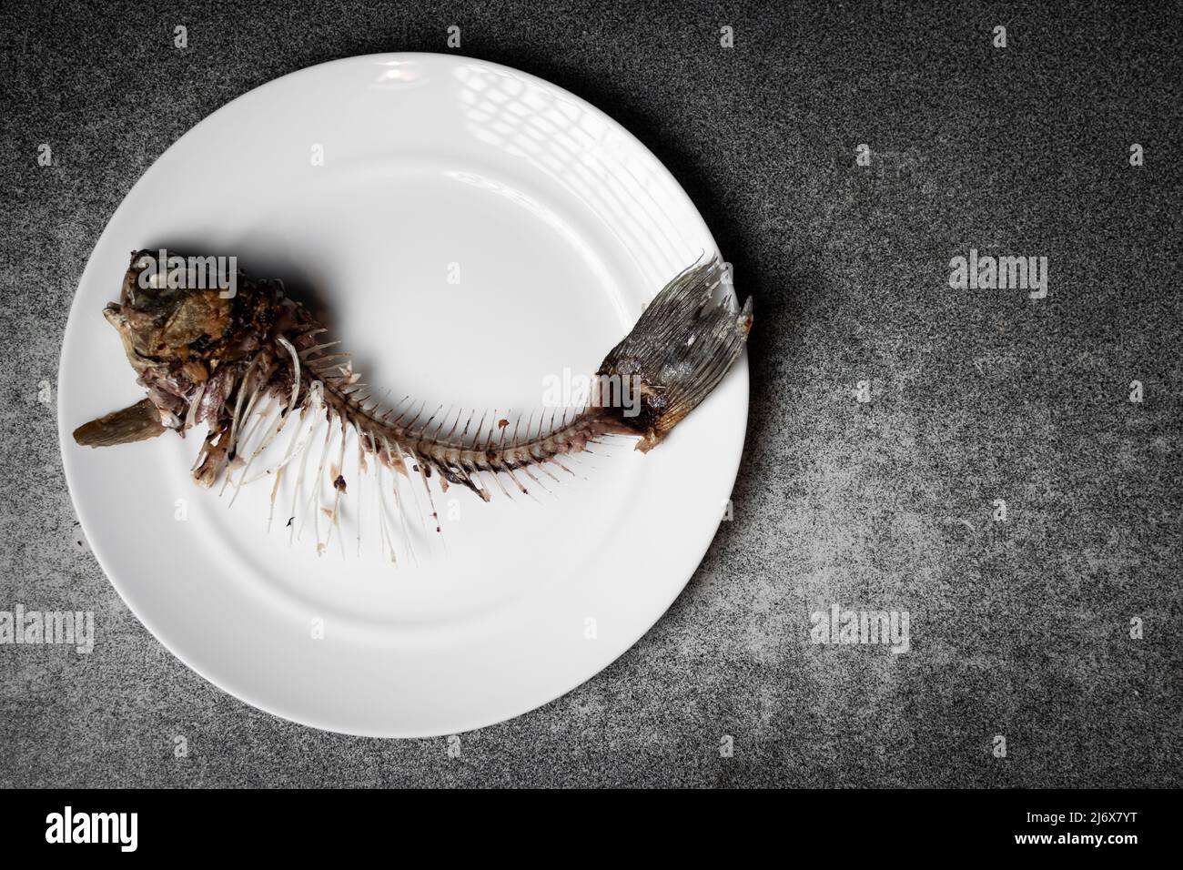 Fried fish skeleton, spine and bones on a white plate on a gray ...