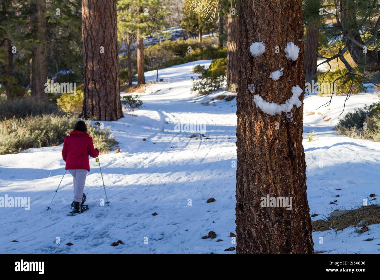 Anthropomorphic smiley hi-res stock photography and images - Alamy