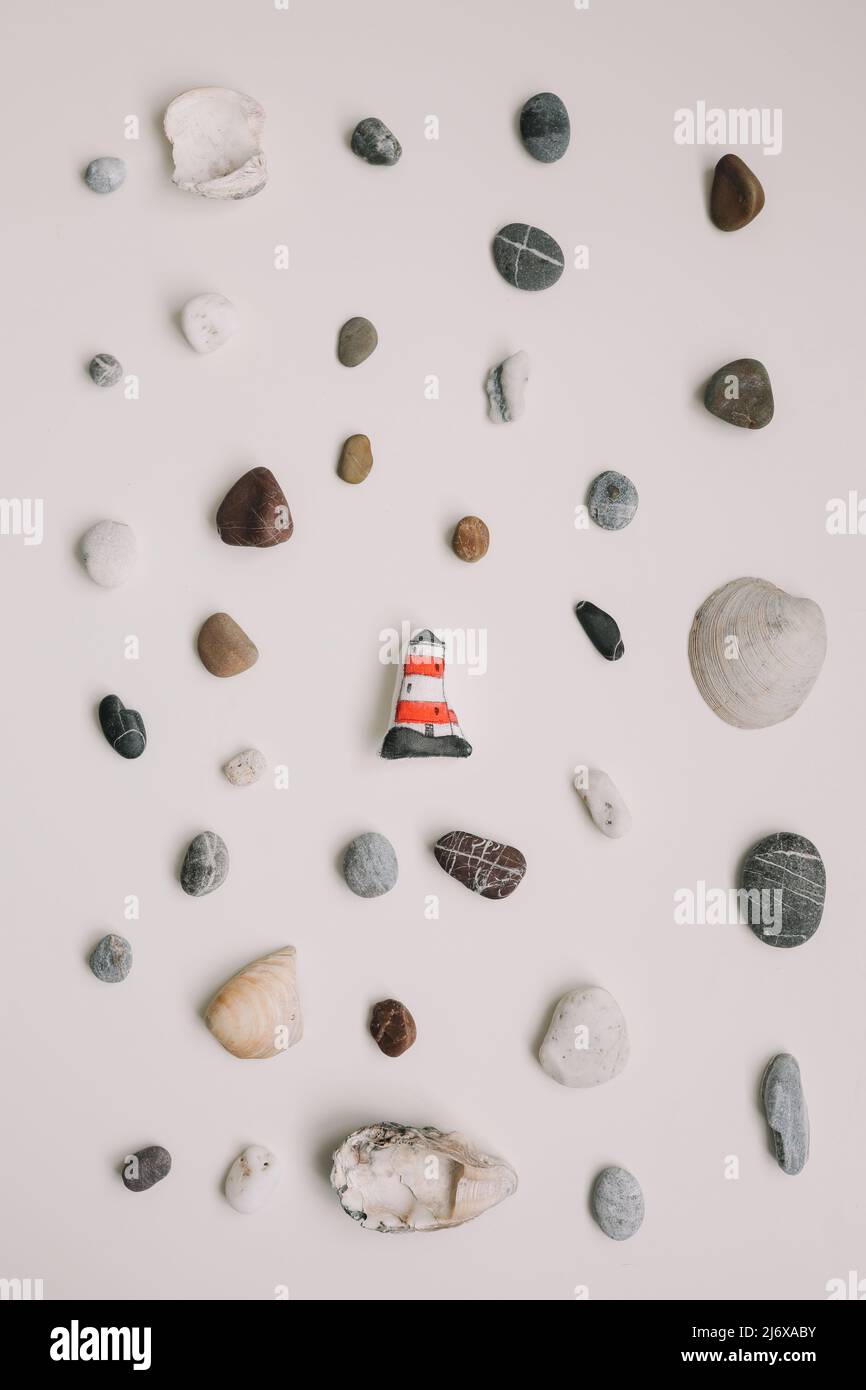 Sea shells pattern on white background. Summer concept. Flat lay, top ...