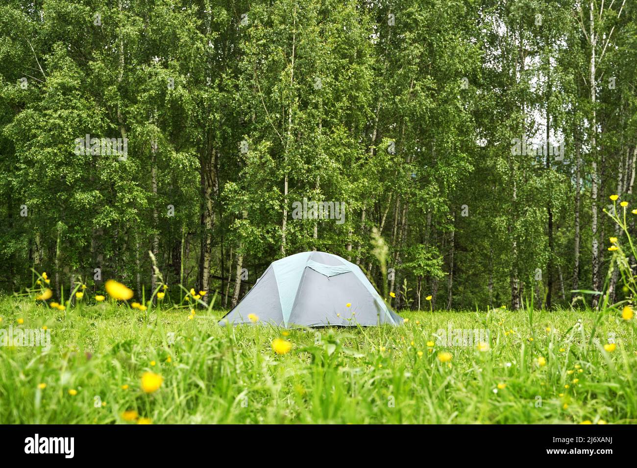 Tent camp in forest. Local travel concept. Sustainable lifestyle ...