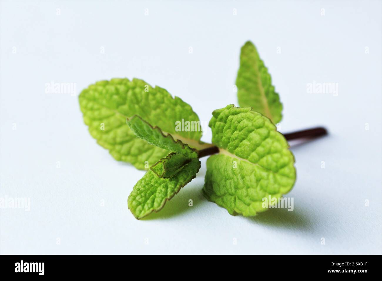 Nutrition assistance program hi-res stock photography and images - Alamy