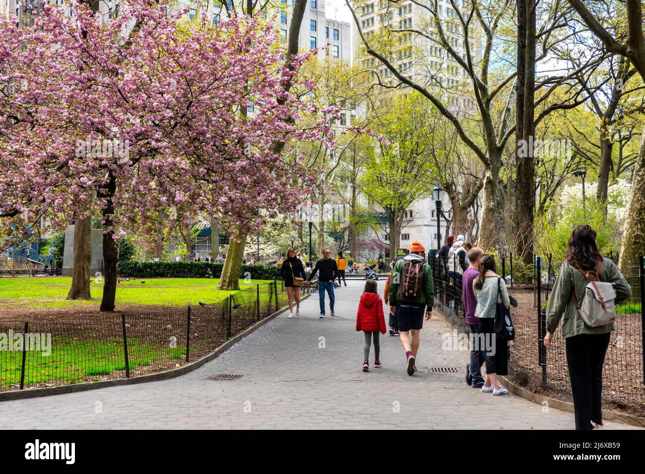 Springtime is beautiful in Madison Square Park, New York City, USA 2022 ...