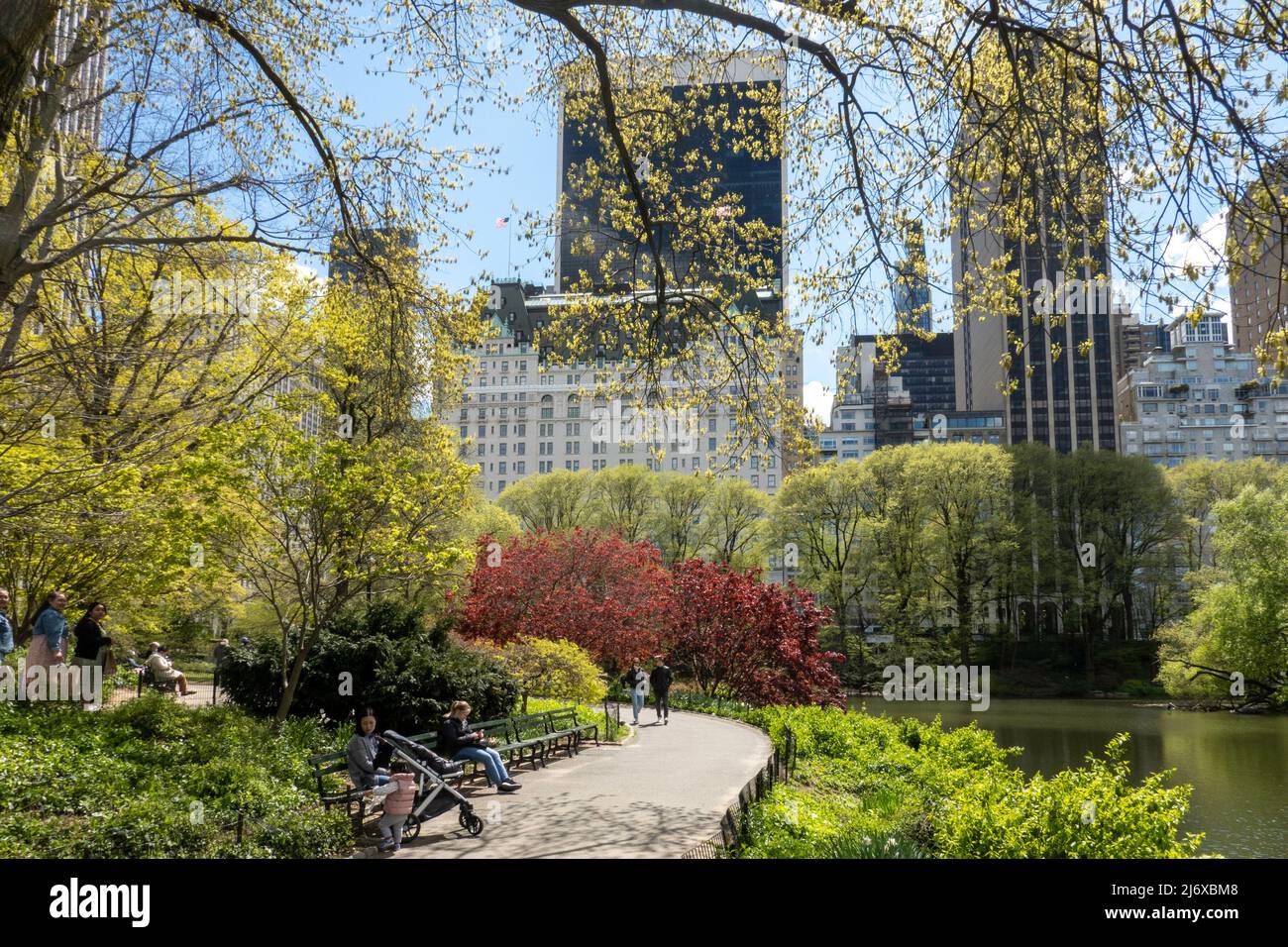 Springtime is beautiful in Central Park with Manhattan Midtown skyline ...
