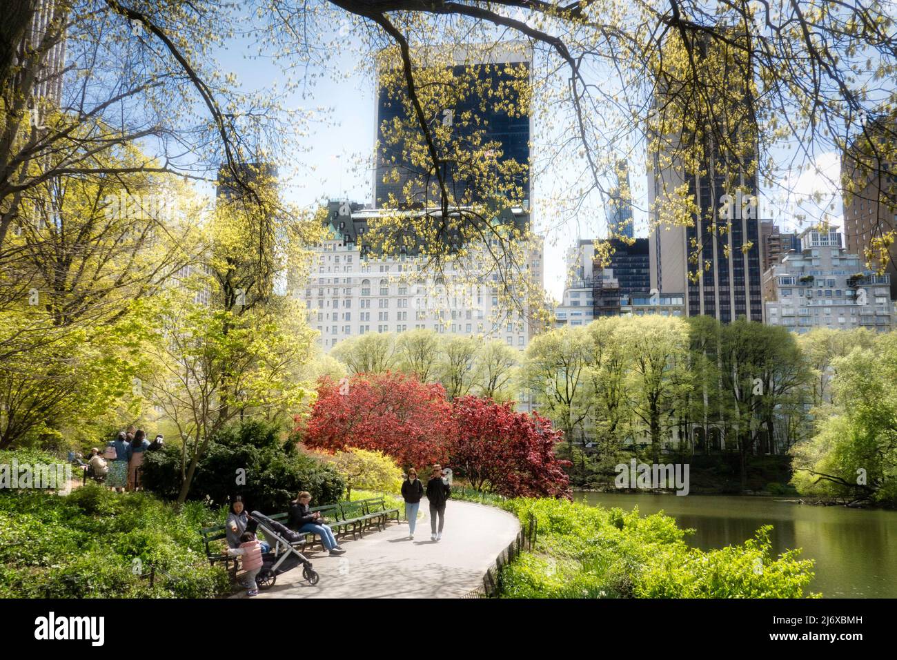 Springtime is beautiful in Central Park with Manhattan Midtown skyline ...