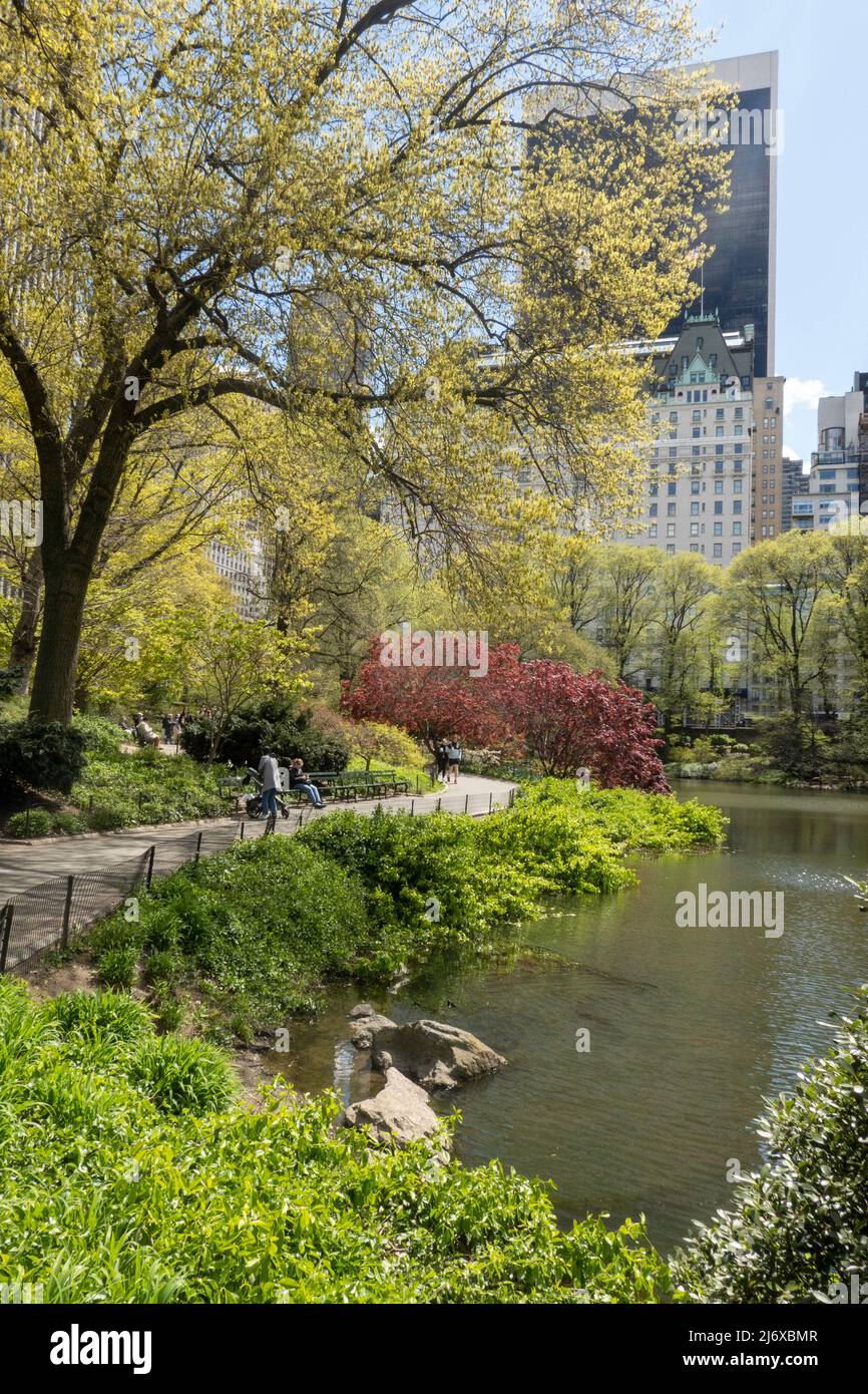 Springtime is beautiful in Central Park with Manhattan Midtown skyline ...