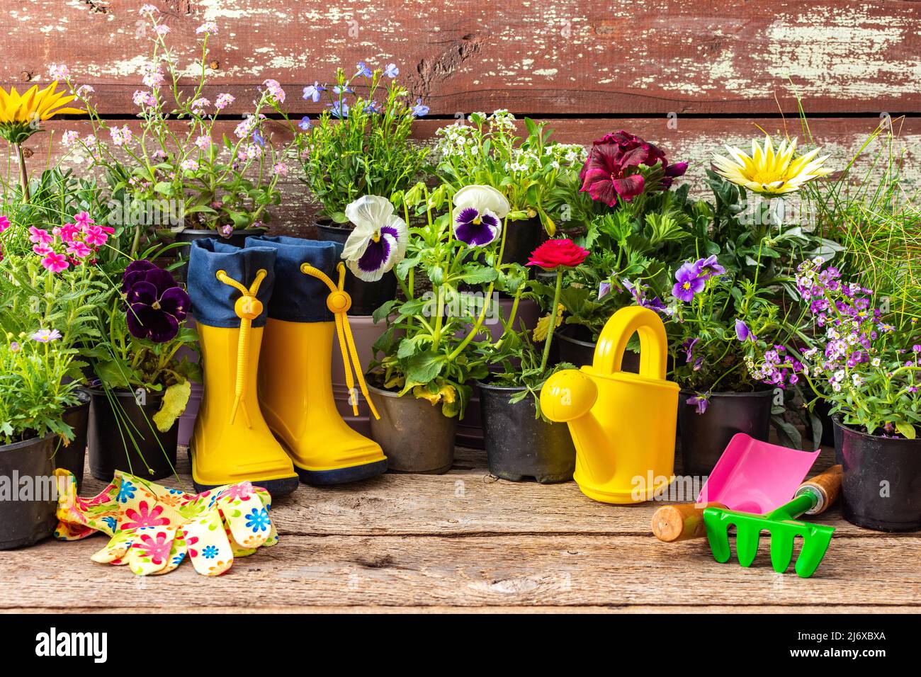 Spring work in the garden, planting decorative flowers, different types ...