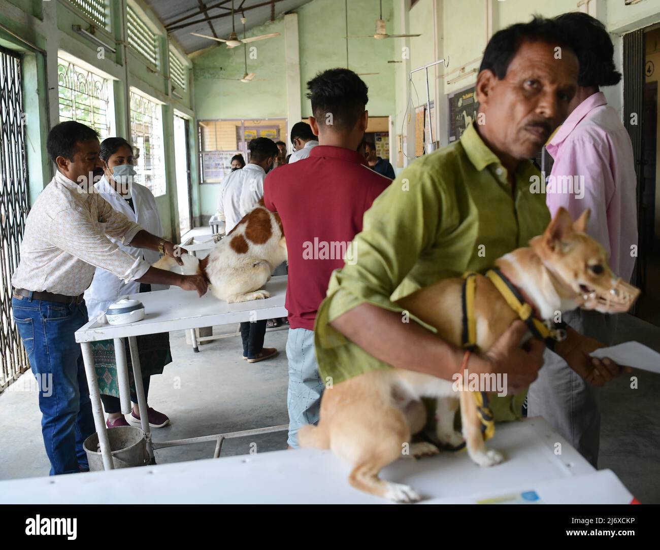 State veterinary hospital agartala hi-res stock photography and images ...