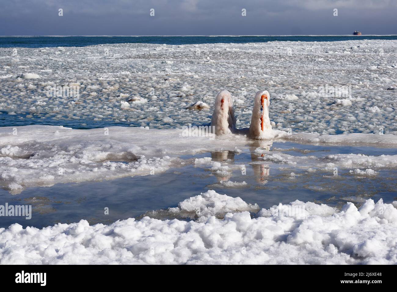 looking across ice and snow with horizon in the distance Stock Photo ...