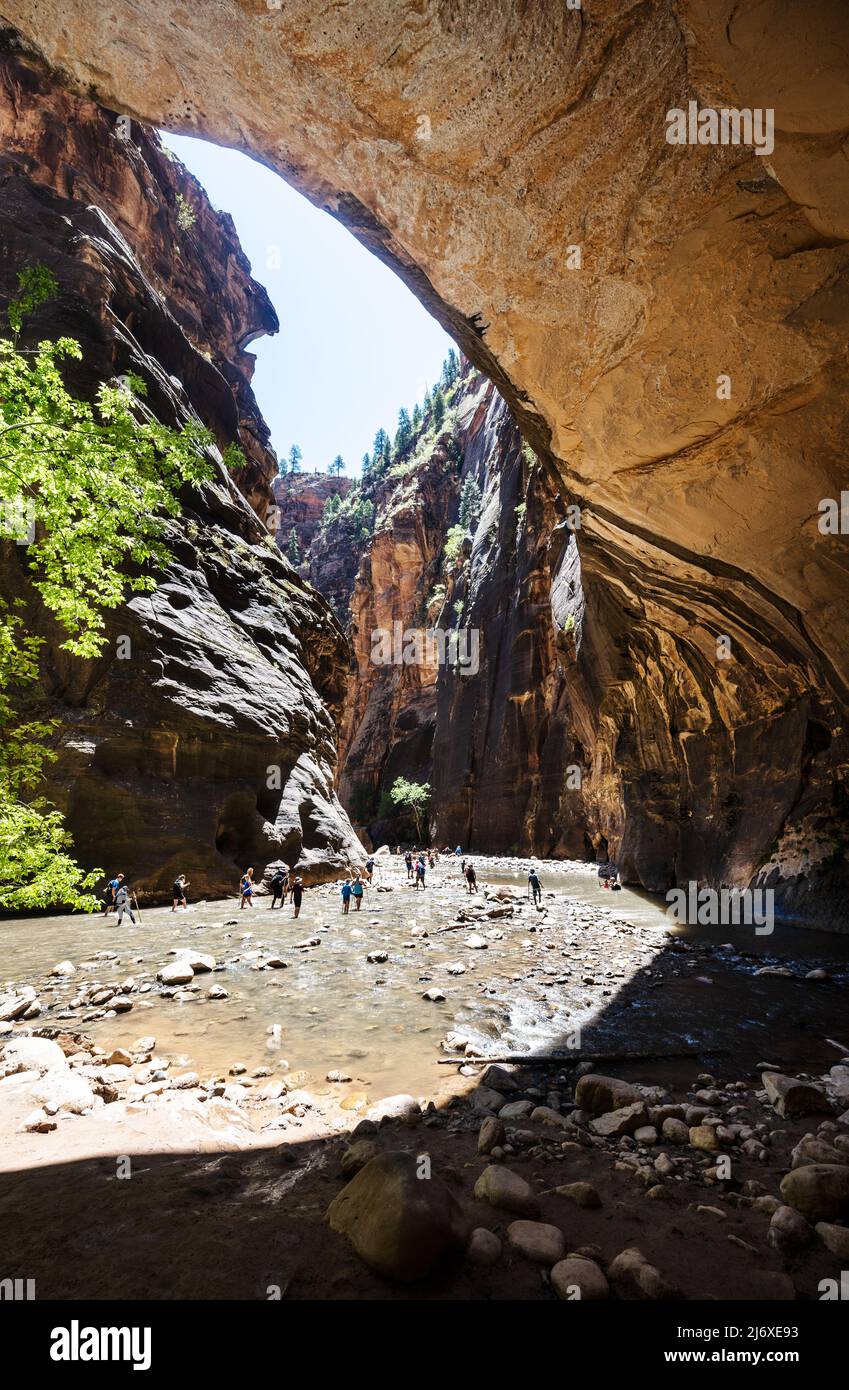 The Narrows, Zion National Park, Utah Stock Photo - Alamy
