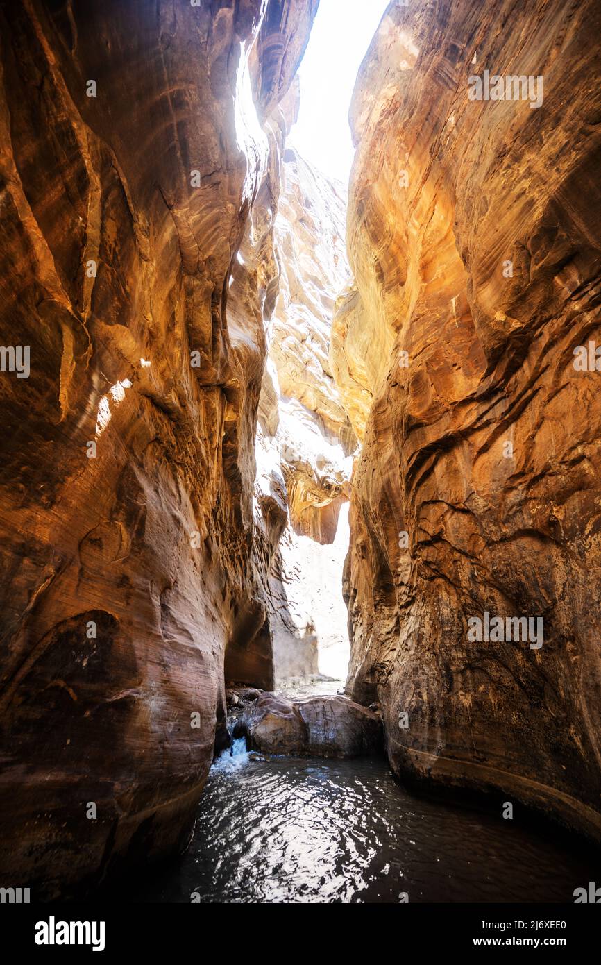 The Narrows, Zion National Park, Utah Stock Photo - Alamy