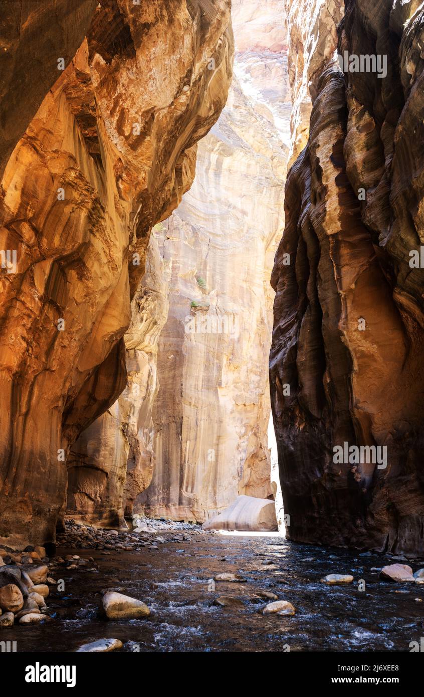 The Narrows, Zion National Park, Utah Stock Photo - Alamy