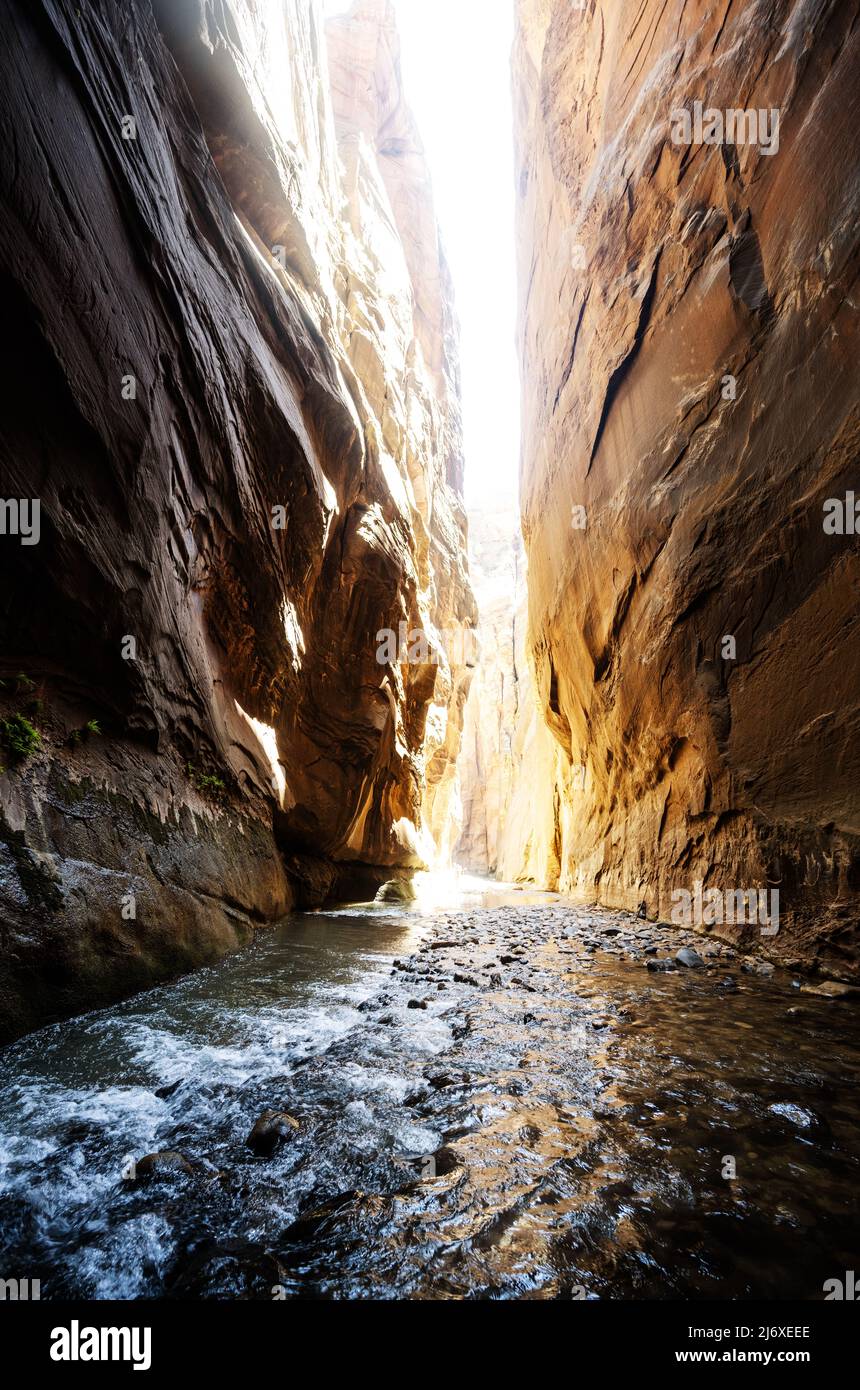 The Narrows, Zion National Park, Utah Stock Photo - Alamy
