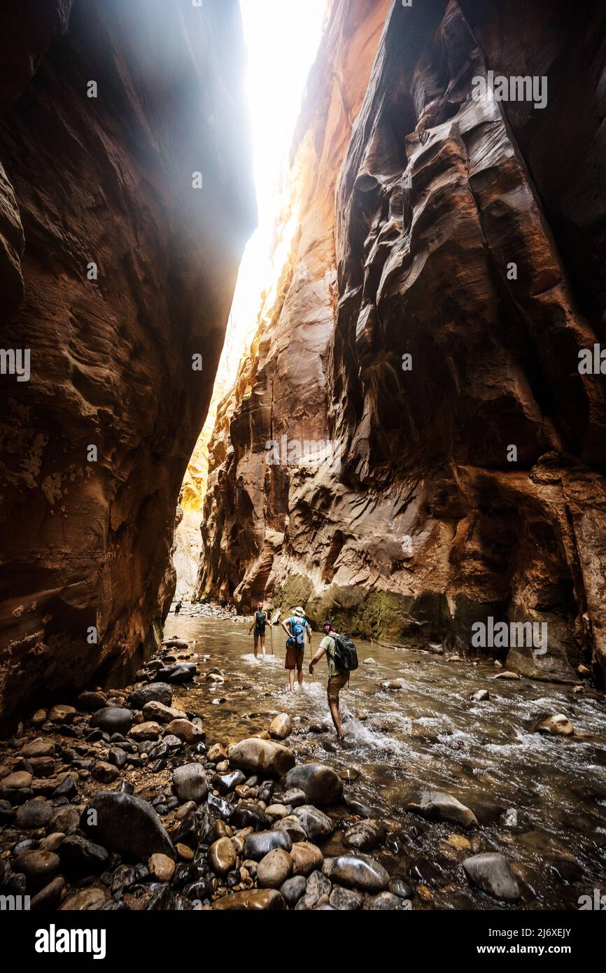 The Narrows, Zion National Park, Utah Stock Photo - Alamy