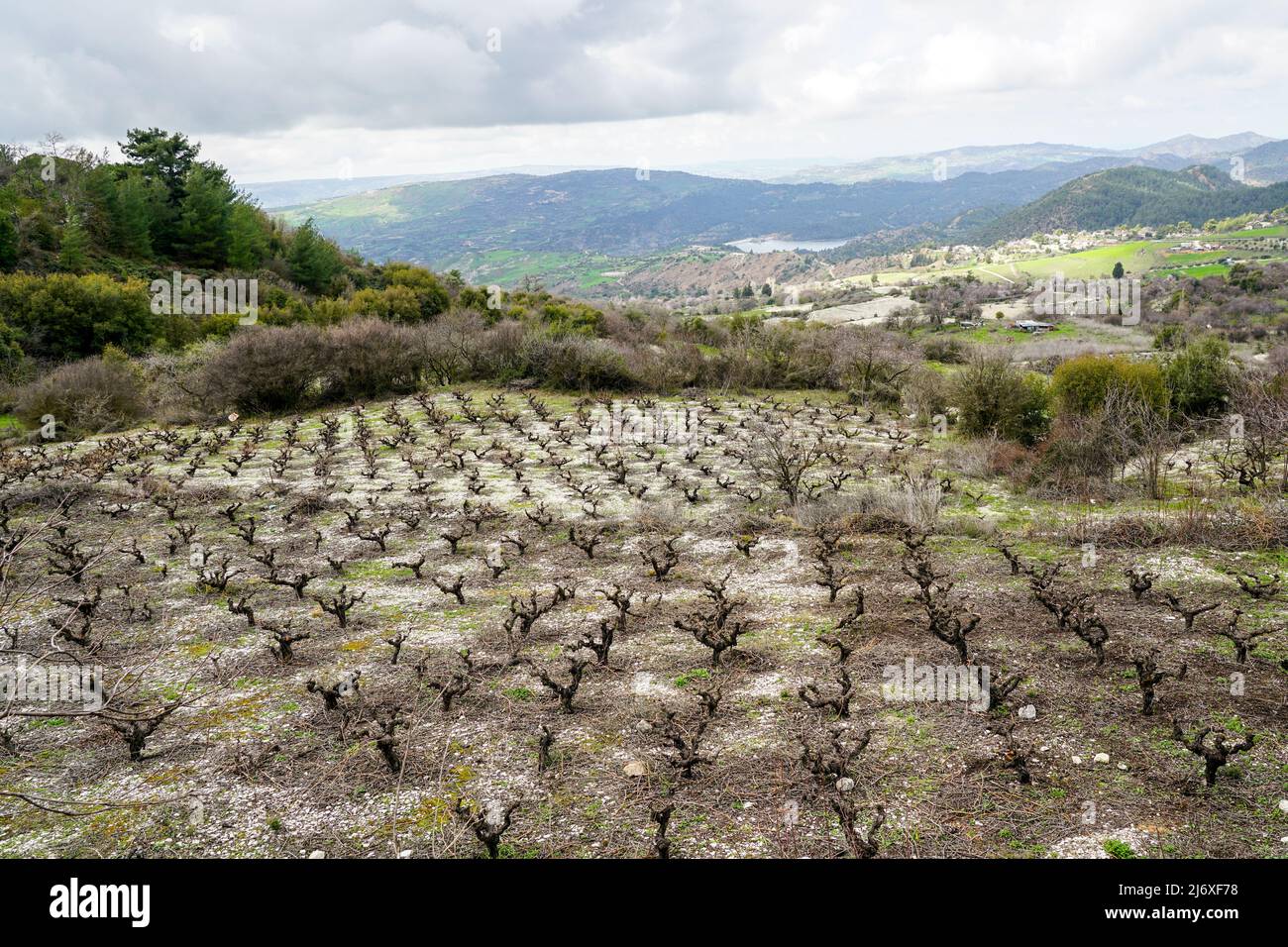 Traditional Cyprus mountains landscape with cultivated field of old ...