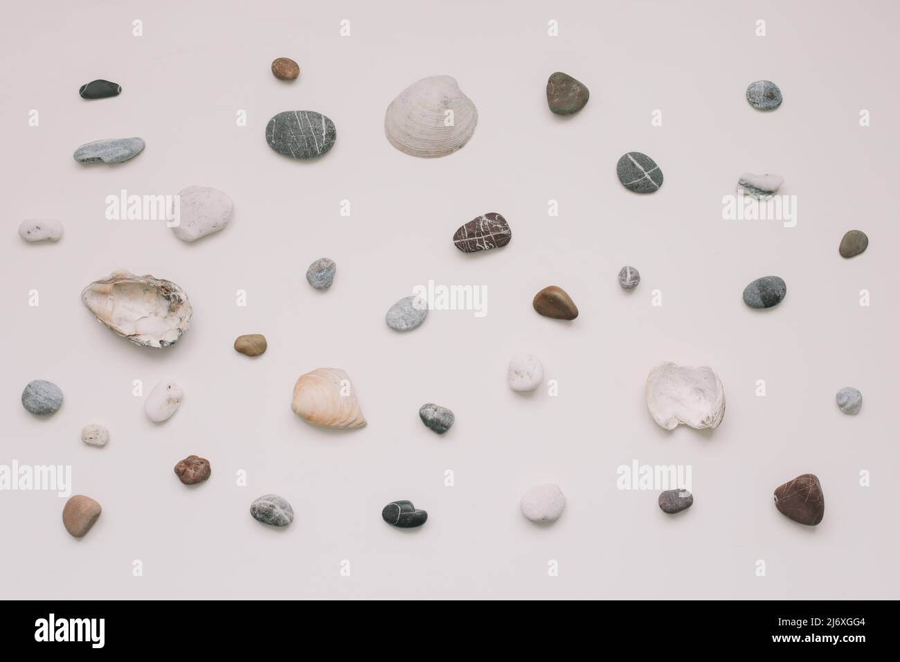 Sea shells pattern on white background. Summer, Vacation on Sea, Travel ...