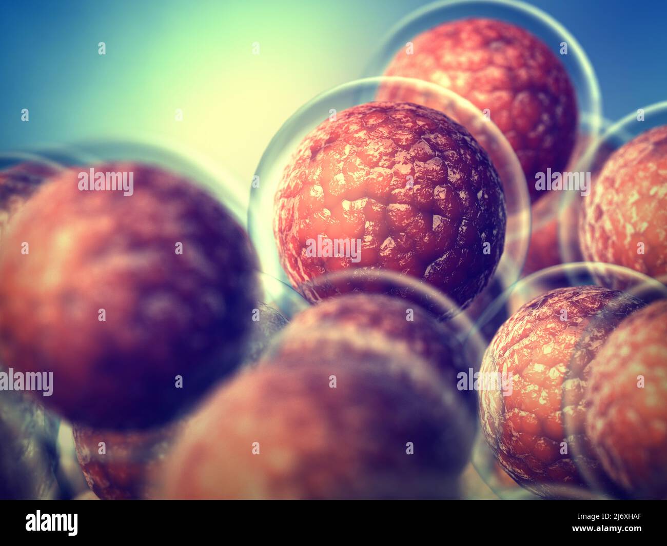 Embryonic stem cells. Repairing damaged cells by reducing inflammation ...