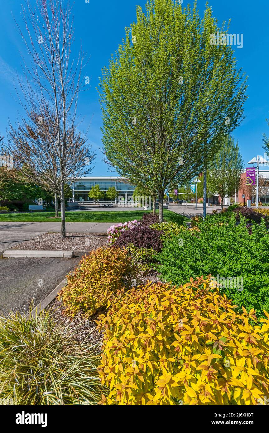 Oregon college growth hi-res stock photography and images - Alamy