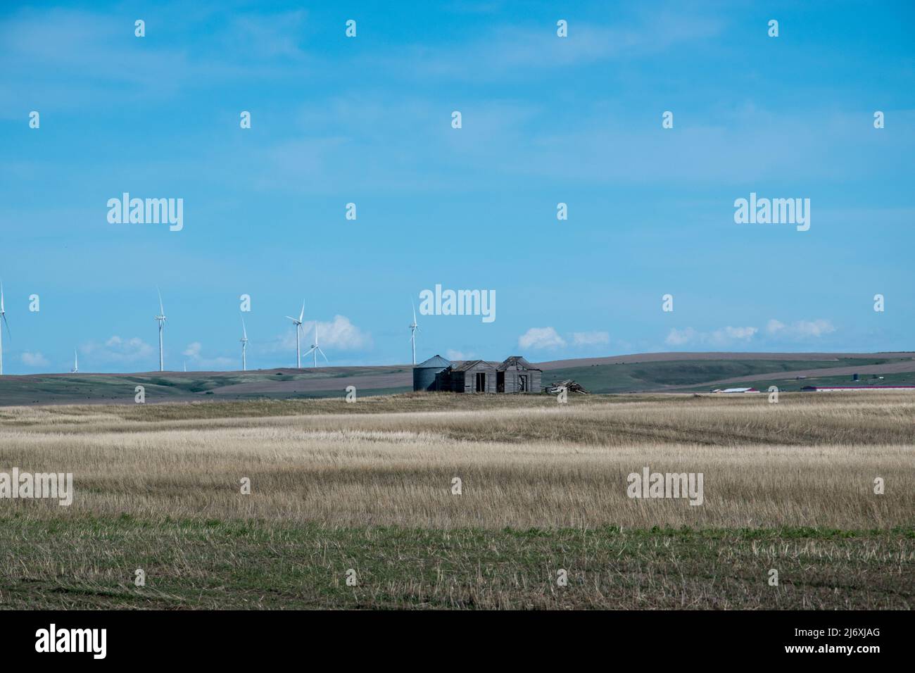 Wind turbines are now featured in southern Alberta where pioneering ...