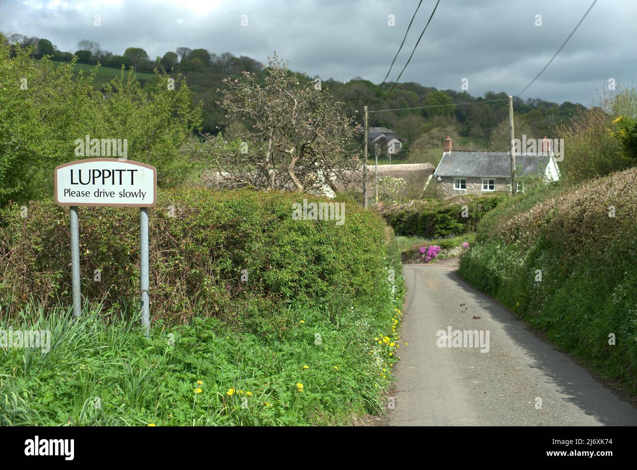 Photographs of the villlage of Luppitt and surrounding area in East ...