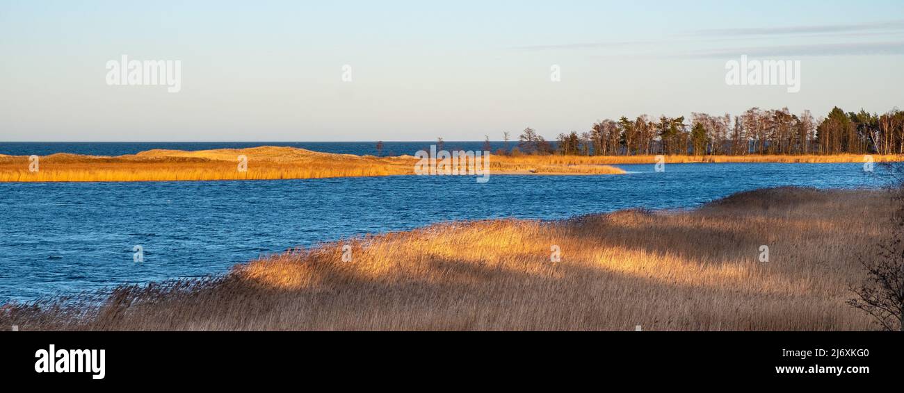 Bird Paradise lake - Ptasi Raj - lake wildlife reserve winter landscape ...