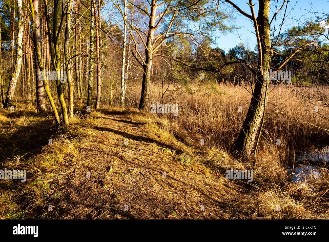 Bird Paradise - Ptasi Raj - wildlife reserve winter landscape with ...