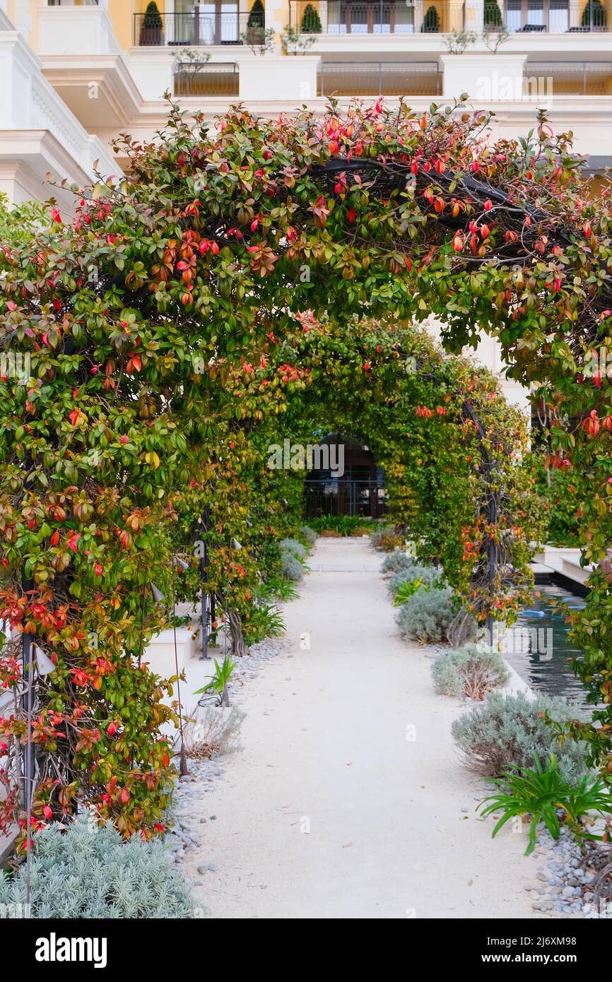 decorated path to the building with green and red plants arch hedge ...