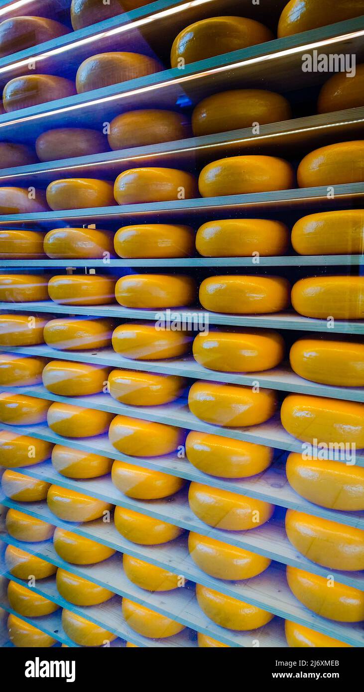 a shop window full of cheese in munich Stock Photo - Alamy
