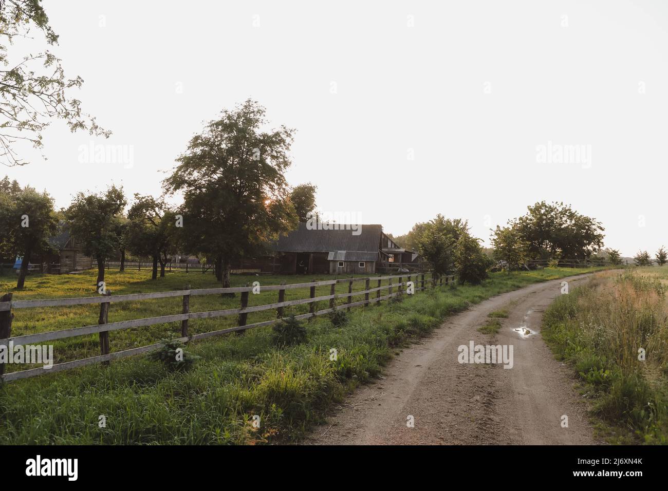 atmospheric picturesque meadow field and summer landscape at sunset ...