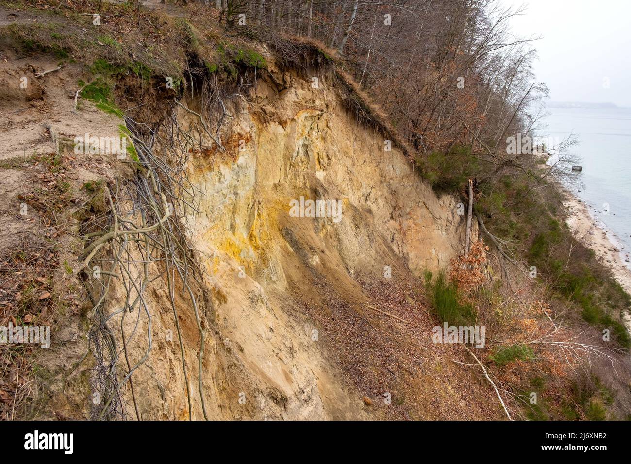 Subsiding slope of Klif Orlowski Cliff - loess steep shore undermined ...